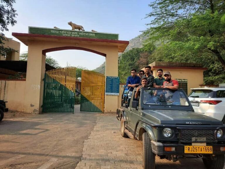 Sariska : Online Safari Booking, Bala Quila Safari - The Practical Side: Booking, Cost, and Value