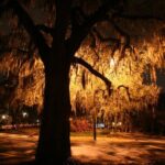 Savannah Ghosts of Christmas Past Tour - The Tour Experience and Group Dynamics