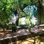 Savannah: Highlights & Hidden Gems Guided Walking Tour - Authenticity and Local Life