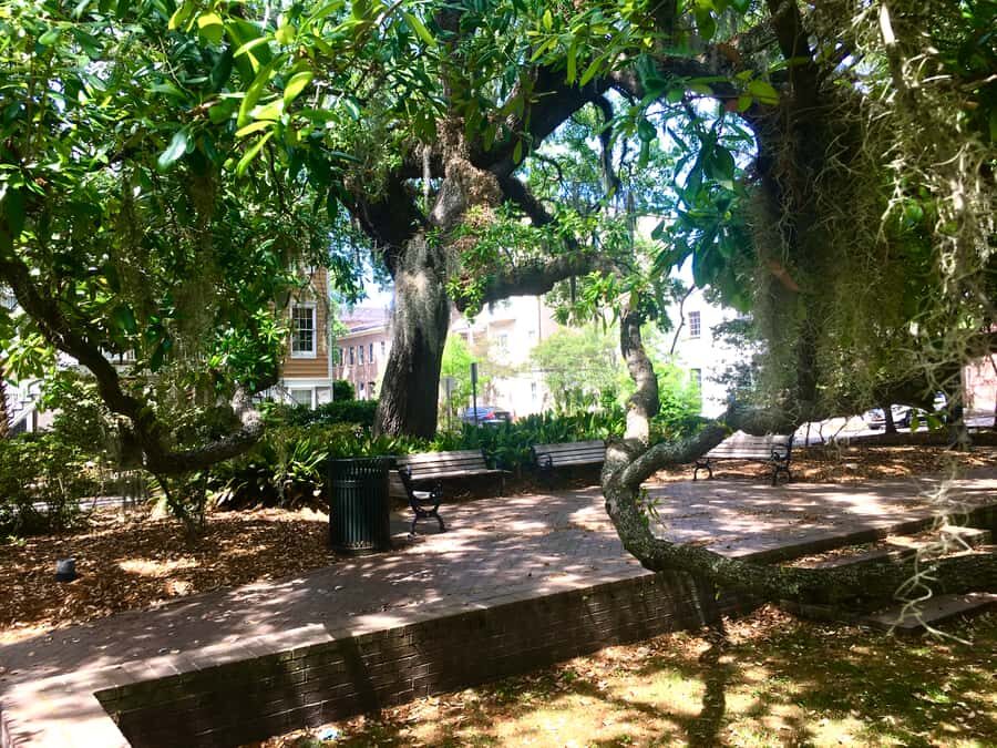 Savannah: Highlights & Hidden Gems Guided Walking Tour - Authenticity and Local Life