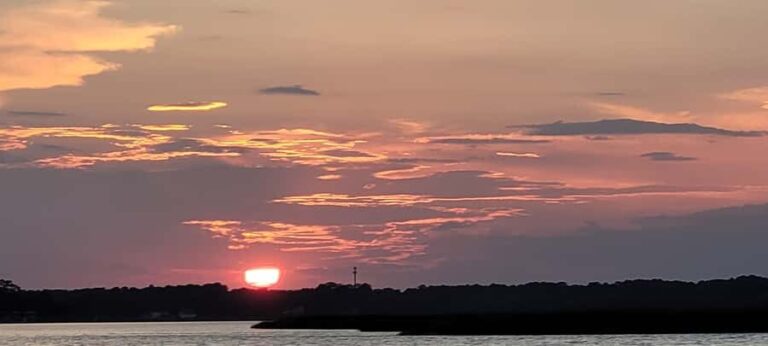 Savannah River Marsh: Your unforgettable Cruise Adventure! - The Itinerary in Detail