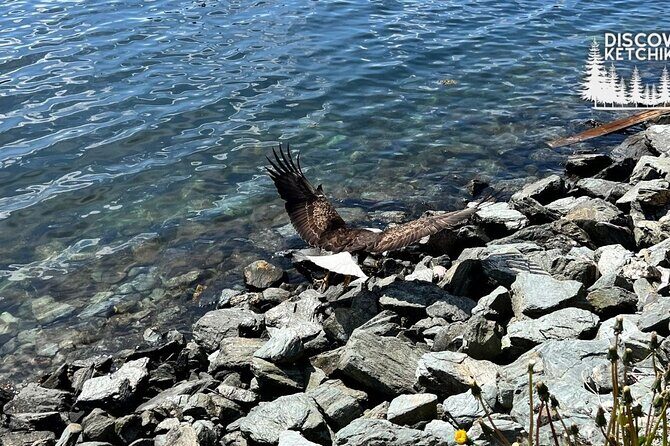 Saxman Native Village & Ketchikan City Tour - Final Thoughts: Who Will Appreciate This Tour?