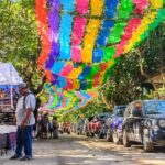 Sayulita Local Flavors - Who Should Book This Tour?