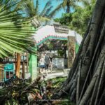 Sayulita & San Pancho: Private Trip from Puerto Vallarta - The Itinerary: What to Expect from Start to Finish