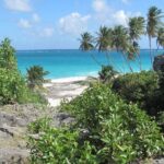 Scenic Barbados Coast To Coast Half-Day Tour - Who Would Love This Tour?