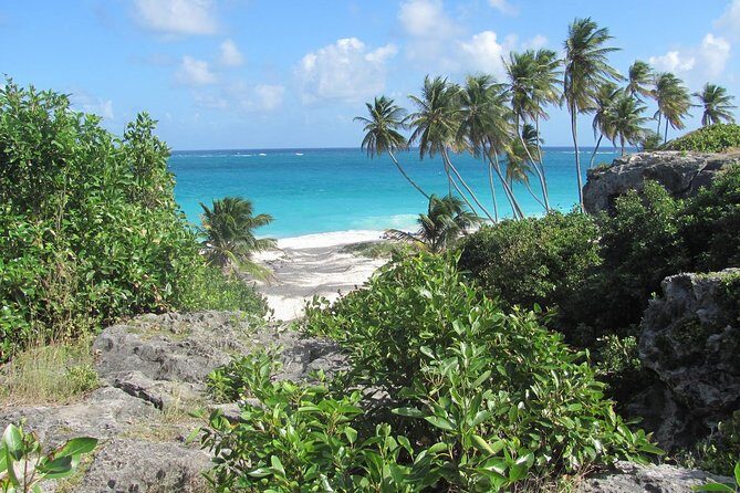 Scenic Barbados Coast To Coast Half-Day Tour - Who Would Love This Tour?