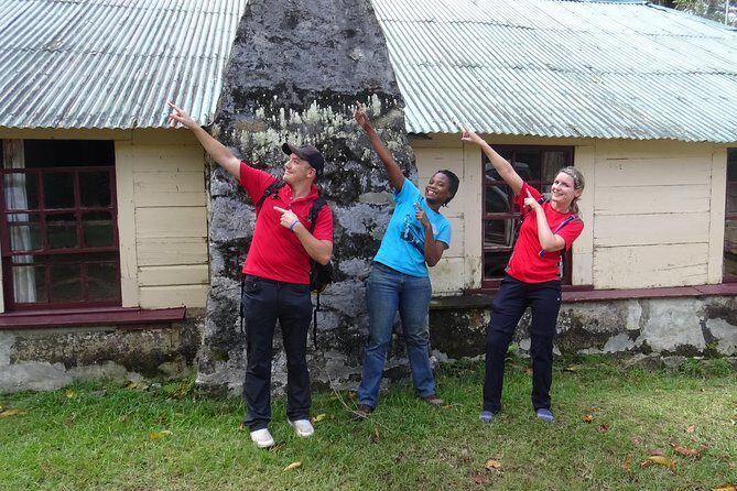 Scenic Blue Mountain Hike from Kingston - Authentic Experiences Backed by Reviews