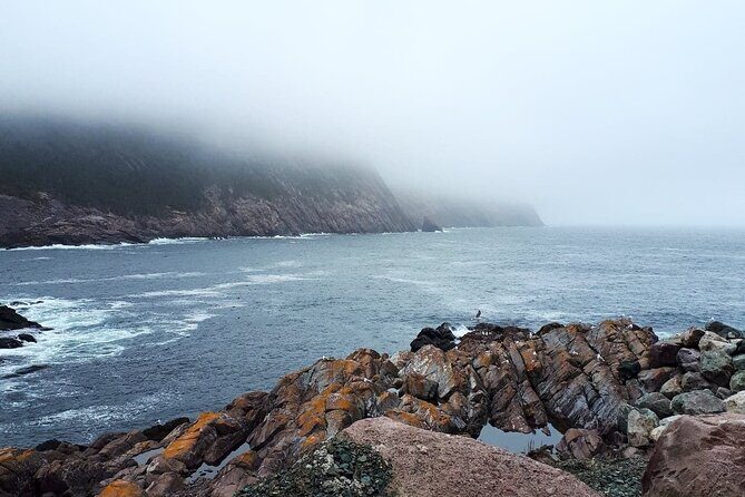 Scenic Bus Tour of the Northeast Avalon from St. John's - Who Will Love This Tour?