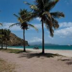 Scenic City Tour and Beach Escape - Practical Details: Transport, Duration, and Cost