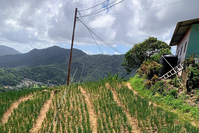 Scenic City Tour - Transportation and Logistics