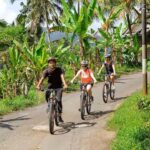 Scenic Cycling Tours Through Bali's Sidemen Countryside - Pedaling Through Bali’s Heartland