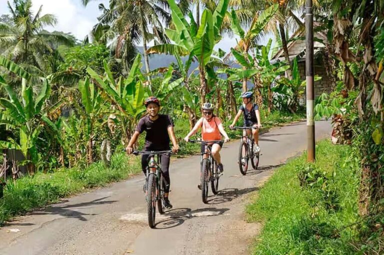 Scenic Cycling Tours Through Bali's Sidemen Countryside - Pedaling Through Bali’s Heartland