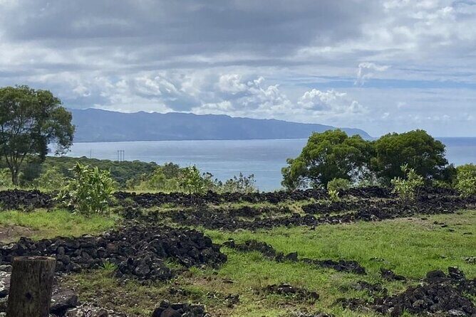 Scenic Half Day North Shore Tour Turtle Bay pickup only - Discovering the North Shore: The Itinerary in Detail