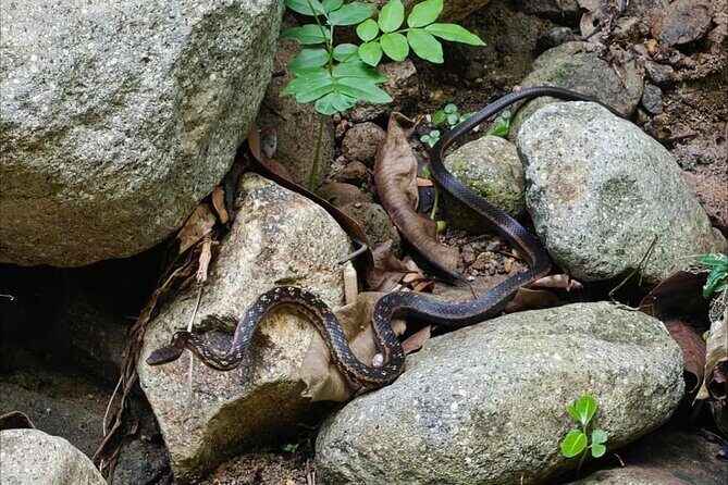 Scenic Hiking Trail Adventure of Montserrat - Who Should Consider This Tour?