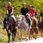 Scenic Horseback Riding Tour from San Juan - Practical Details and What to Expect