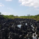 Scenic Island Private Tour - What Travelers Say