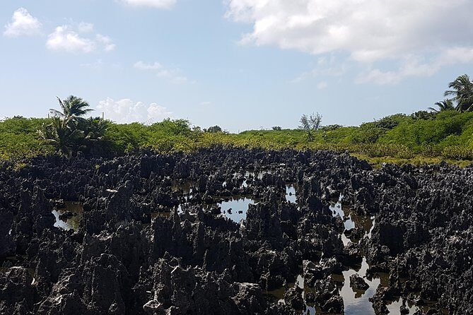 Scenic Island Private Tour - What Travelers Say