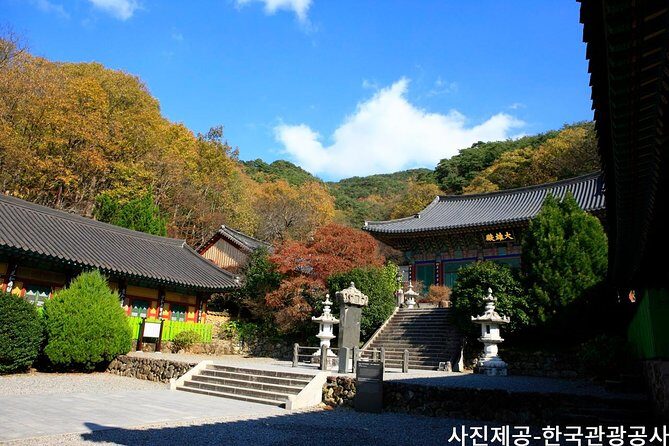 Scenic Jiri Mountain Autumn Foliage One Day Tour from Busan - Practical Details That Matter