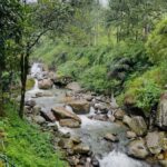 Scenic Nuwara Eliya Tuk Tuk Adventure - Key Points