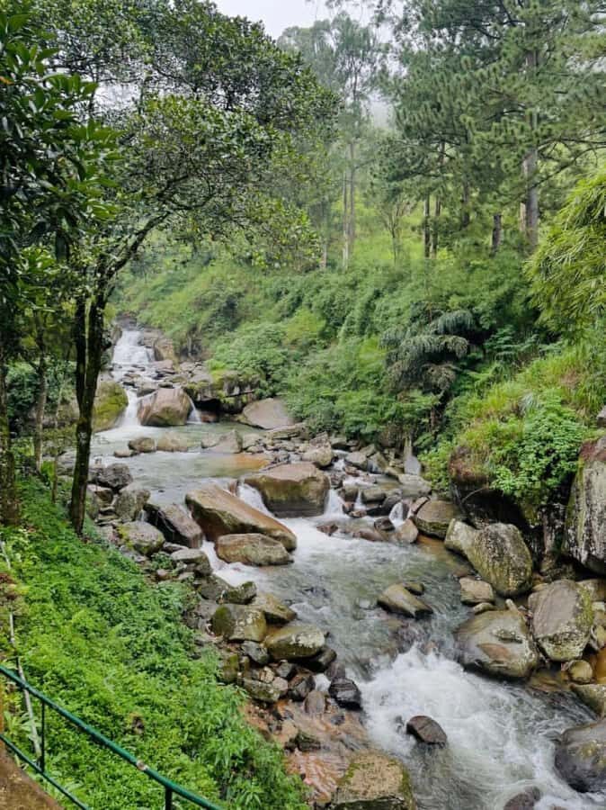 Scenic Nuwara Eliya Tuk Tuk Adventure - Key Points