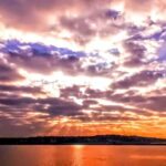 Scenic Wildlife Boat Cruise & Wine with a local Artist - The Creative Water Activity