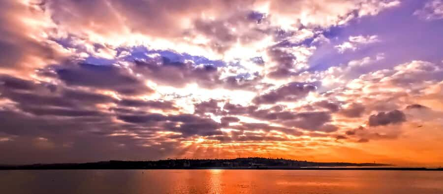 Scenic Wildlife Boat Cruise & Wine with a local Artist - The Creative Water Activity