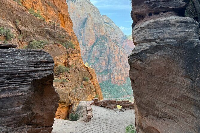 Scout Lookout: Small Group Guided Hike Zion Canyon - Who Should Opt for This Tour?