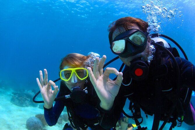 Scuba Certified Diving Immersion at Maroma Beach (1 or 2 tanks) - Key Points