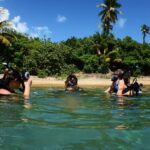 Scuba Dive and Snorkel Private Charter in Puerto Rico - Itinerary Breakdown: What to Expect