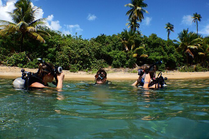 Scuba Dive and Snorkel Private Charter in Puerto Rico - Itinerary Breakdown: What to Expect