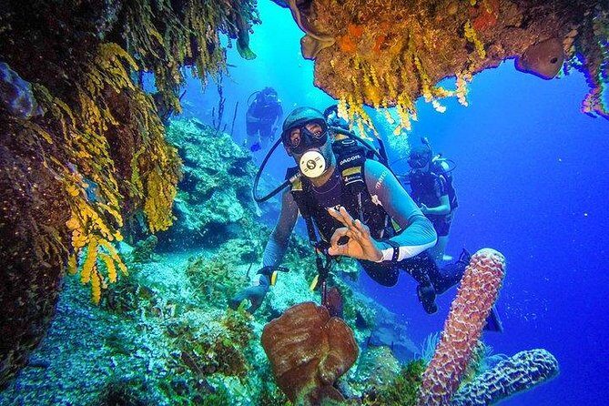Scuba Diving at Catalina Island - 2 tank | 2 spots - Authentic Perspectives from Travelers