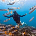 Scuba Diving for Beginners from Phuket Racha Yai with Snorkeling - The Itinerary and Notable Stops