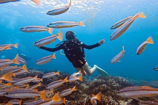 Scuba Diving for Beginners from Phuket Racha Yai with Snorkeling - The Itinerary and Notable Stops