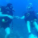 Scuba Diving in Catalina Island - Itinerary Breakdown