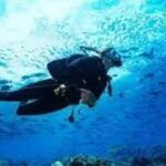 Scuba Diving in Pasikudah - Practical Details and Logistics