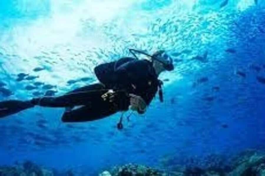 Scuba Diving in Pasikudah - Practical Details and Logistics