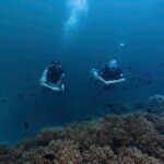 Scuba Diving in Phu Quoc for Non Certificated Divers (2 Dives) - The Logistics and Price