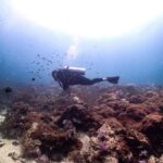 Scuba Diving in Phuket  4-Day 3-Night Experience - Detailed Breakdown of the Itinerary