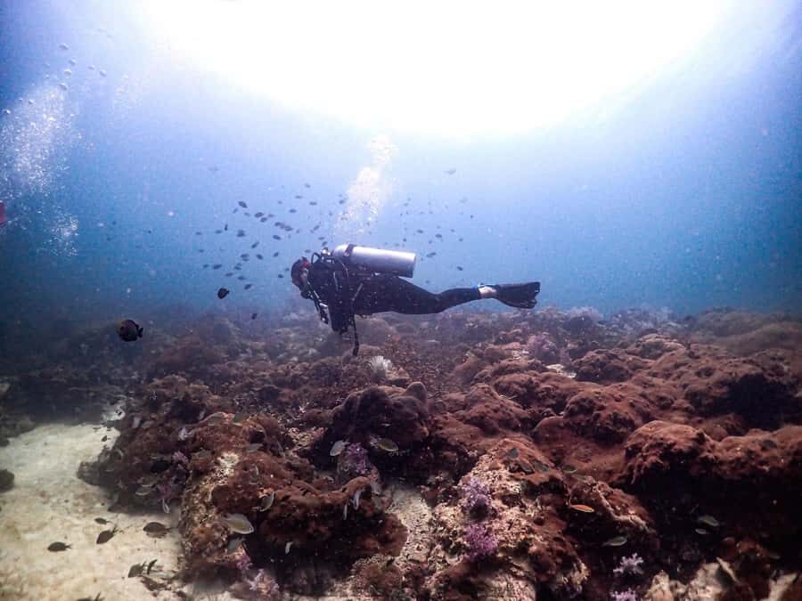 Scuba Diving in Phuket  4-Day 3-Night Experience - Detailed Breakdown of the Itinerary