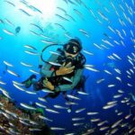 Scuba Diving on Catalina Island | 2 tanks, 2 spots - Authentic Experiences and Real Traveler Feedback