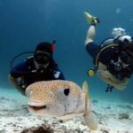 Scuba Diving Refresher(3 dives) - A Detailed Breakdown of the Itinerary