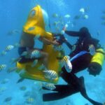Scuba Doo Diving Scooters in Punta Cana - What You’ll See Beneath the Surface