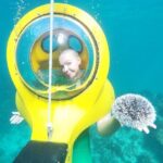 Scuba-Doo Scooter in Punta Cana - The Marine Environment: What Youll See