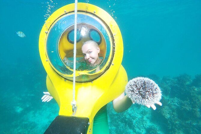 Scuba-Doo Scooter in Punta Cana - The Marine Environment: What Youll See