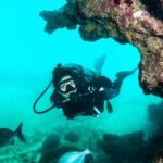 Scuba Tour for Certified Divers in San Juan - Analyzing the Value and Practicalities