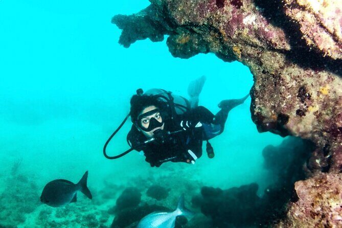 Scuba Tour for Certified Divers in San Juan - Analyzing the Value and Practicalities