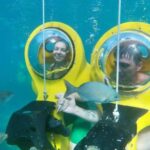 ScubaDoo From Punta Cana - Why Value Matters: Is It Worth the Price?