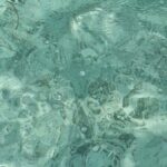 Sea excursion - Who Is This Tour Best For?