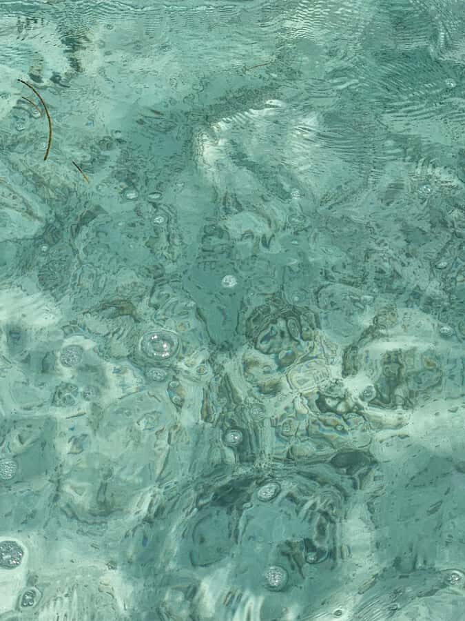 Sea excursion - Who Is This Tour Best For?