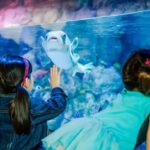 SEA LIFE Aquarium San Antonio - What do visitors say?